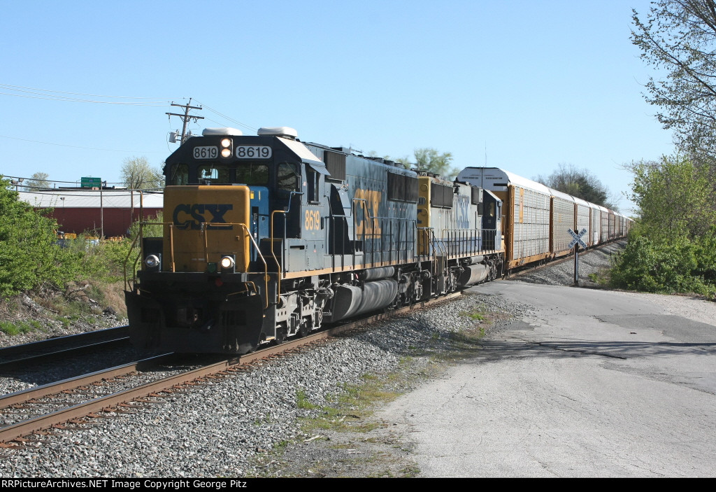 CSX 8619 and train Q217